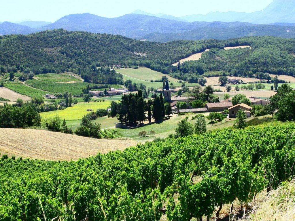 Livron-sur-drome-Vignobles-a-proximite-de-livron-sur-drome ...