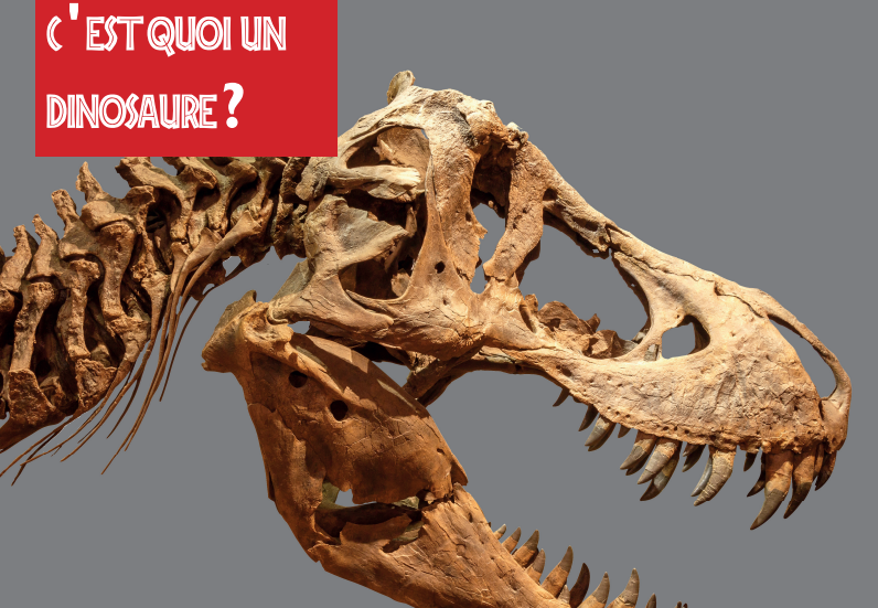 Expo : Envolés les dinosaures - Paléodécouvertes